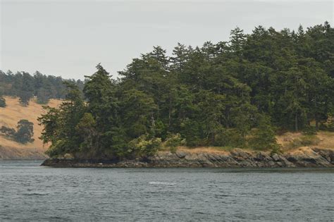 Dsc3409 Chris Witwer Flickr