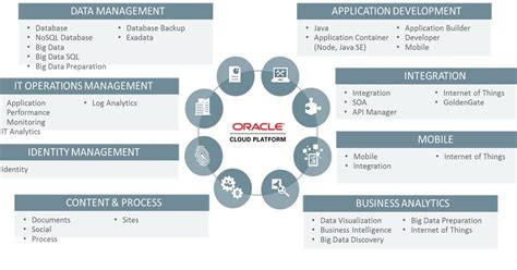 Oracle Fusion Middleware SOA Recipes Oracle Cloud Platform For Digital Business PaaS