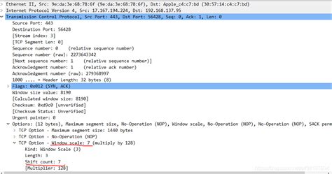 使用wireshark抓包分析 Tcp Handshake 中 Window Scale 参数windows Scale Csdn博客