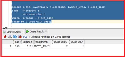Types Of Segments In Oracle Dot Net Tutorials