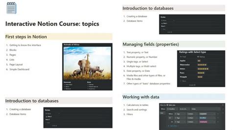 The 10 Best Notion Courses In 2025 Free And Paid