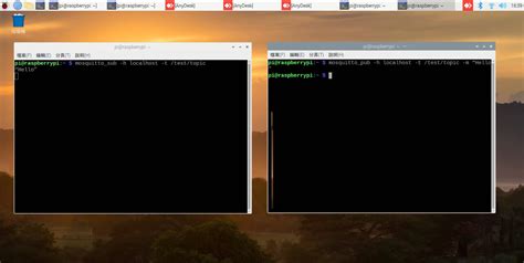 軟硬體的天空 raspberry pi self hosted mqtt environment for internet of thing