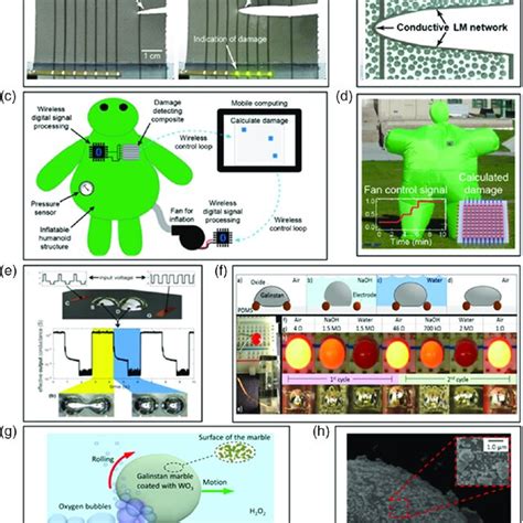 Integration Of LM In Sensor And Actuator Devices A Photographs Download Scientific Diagram