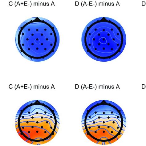 Scalp Distributions Topographic Distributions Of The Average
