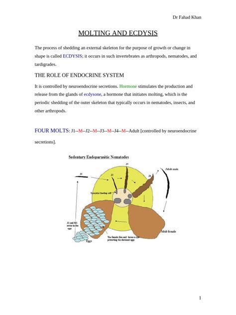 Ecdysis Pdf