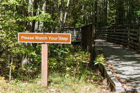 WpW LSCache And Your Plugin Perfect Together LiteSpeed Blog