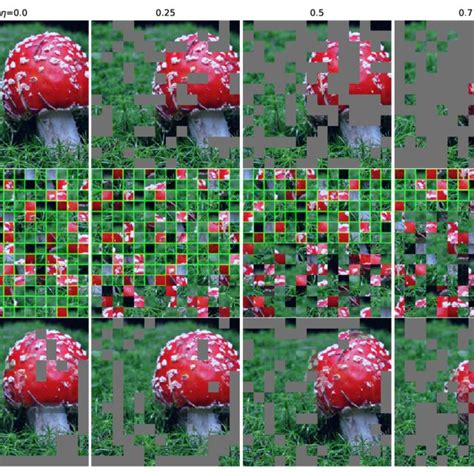Validation Accuracy For The Position Prediction Task On Imagenet 1k For