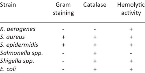 Characterization Of The Isolated Pathogens From Different Locations In Download Scientific