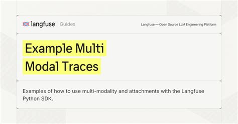 Example Multi Modal Traces Langfuse