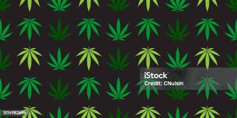 마리화나 원활한 패턴 벡터 대마초 마리화나 잎 배경 스카프 절연 반복 벽지 그린 타일 0명에 대한 스톡 벡터 아트 및 기타 이미지 0명 건강관리와 의술 녹색 Istock