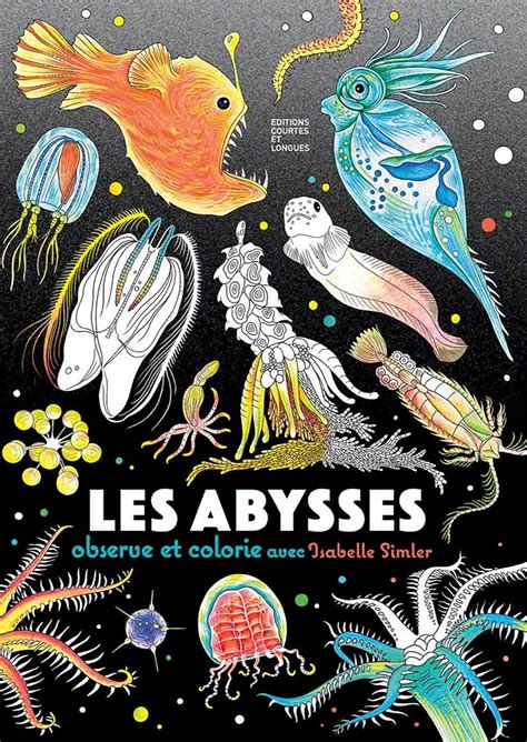 Les Abysses Simler Isabelle Amazon De Bücher