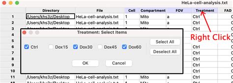 Filtering Data — Flim Analyzer Documentation