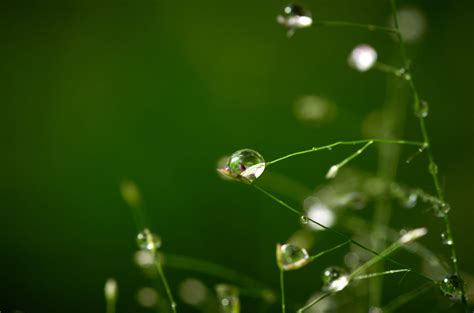 Our Work Custom Software Solutions First Line Software