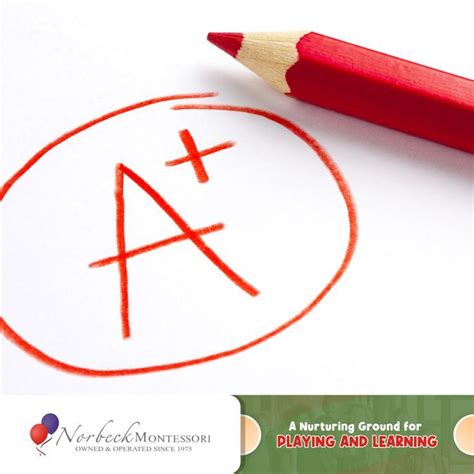 The Benefits Of Grading System Elimination