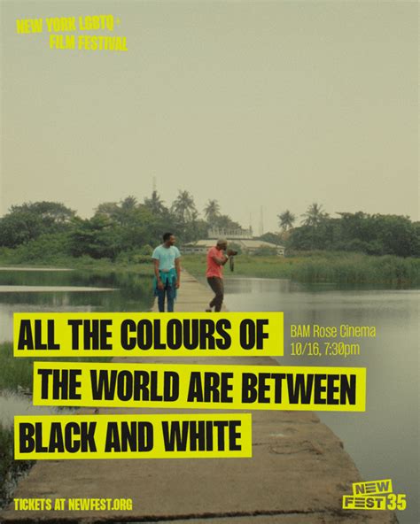 Programmer Picks Newfest