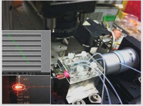 Silicon Photonics Sensors For Biophotonic Applications A Tutorial