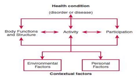 International Classification Of Function Disability And Health Icf