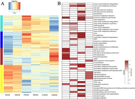 Dynamic Transcriptome Of The Fnp Plants During The Senescence Process