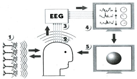 Eeg Biofeedback