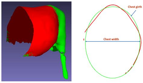 A Korean Cattle Weight Prediction Approach Using 3d Segmentation Based Feature Extraction And