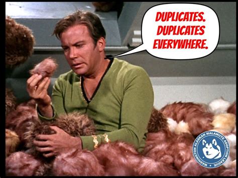 Deborah Roisman On Linkedin Salesforce Salesforcememes