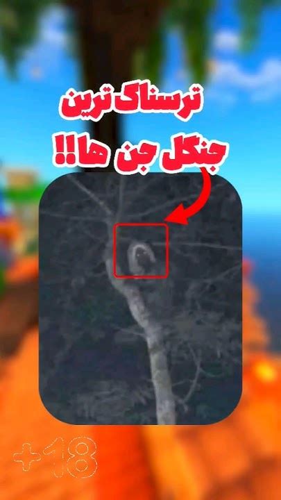 جنگل جن ها جن زده ترین جنگل دنیا Youtube