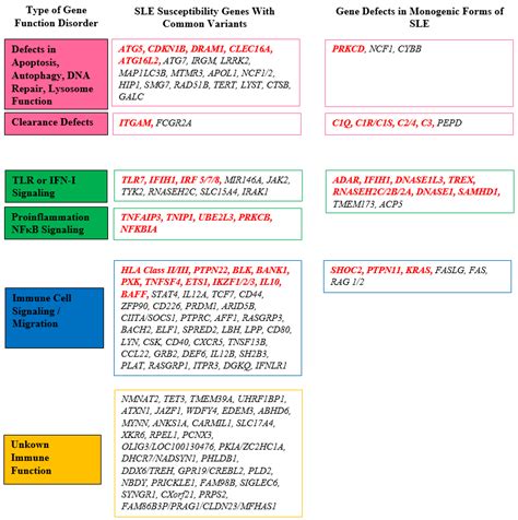 Reference Letter Sle Pdf Example Reference Letter Sle Pdf Example
