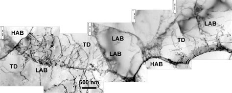 montage of tem micrographs showing a representative example of a