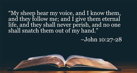 Your Daily Bible Verses — John 1027 28 — Integrated Catholic Life™