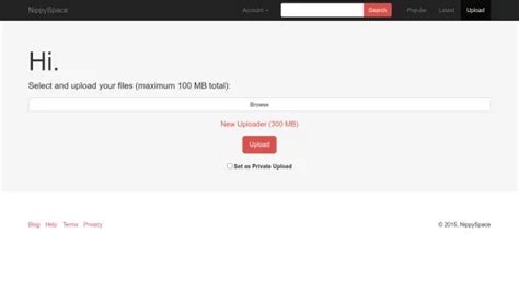 Nippyspace File Upload And Sharing Service