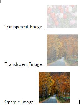 CSS Image Transparency CSS Tutorial By Wideskills