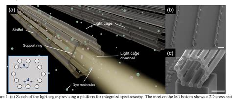 Figure 1 From The Light Cage Integrated On Chip Spectroscopy Using A Nano Printed Hollow Core