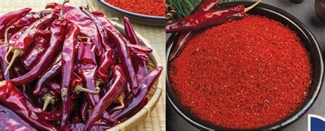 청양 고추축제 때 일반고추 600g 1만6천500원에 판매 연합뉴스