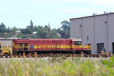 Class DQ Tas Matty P S Railway Pics