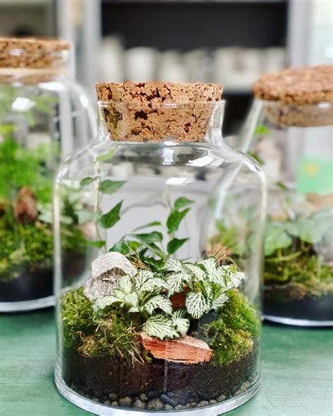 Hoomi Hoomi Added A New Photo