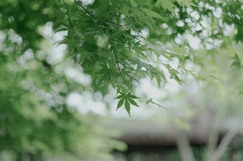 第一次尝试绿色丝袜，居然