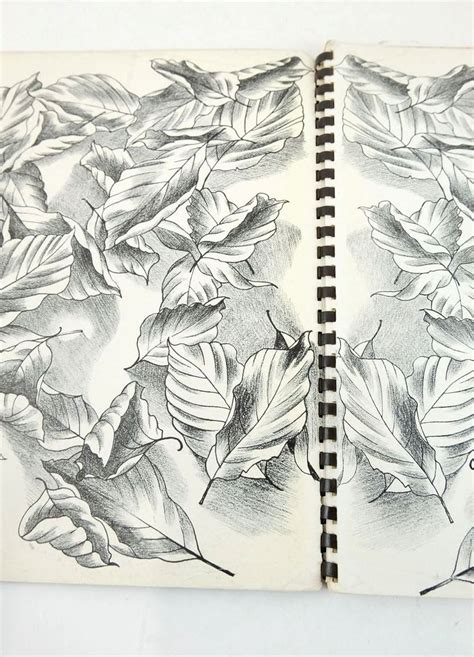 stella and rose s books bucks shell guide written by john nash stock