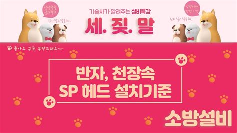 Sp설비 반자속 천장속 스프링클러 설치 해야하나요 Youtube