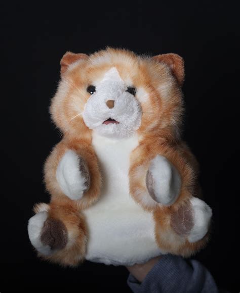 Copy Cat Creek Compass