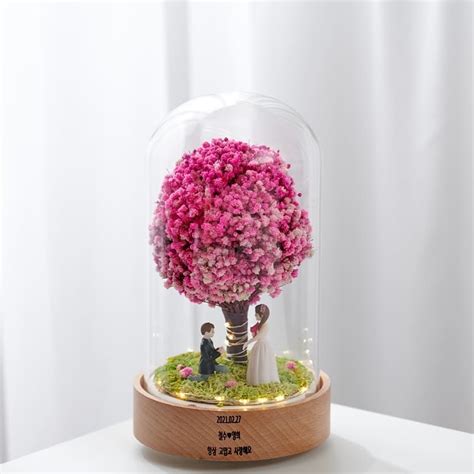 데일리로맨틱 시들지 않아 보존기간이 몇년인 프리저브드 플라워🌺led 기능과 오르골 기능이 있어서 뜻깊은 선물이라는🌸💕꽃다발 프리저브드플라워 홍제역꽃집 핫