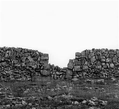 Gallery Mathematicians Mariana Cook