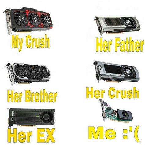 Graphics Card Memes  Graphics Card Bpjn