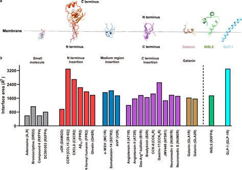 Comparison Of Ligand Binding Modes A Conformations Of Different Ligands Download Scientific