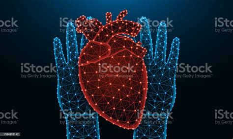 손과 인간의 심장 낮은 폴리 디자인 다각형 스타일의 인간 기관 진한 파란색 배경에 포인트와 선으로 만든 심장 와이어 프레임 벡터 일러스트 가리키기에 대한 스톡 벡터 아트 및