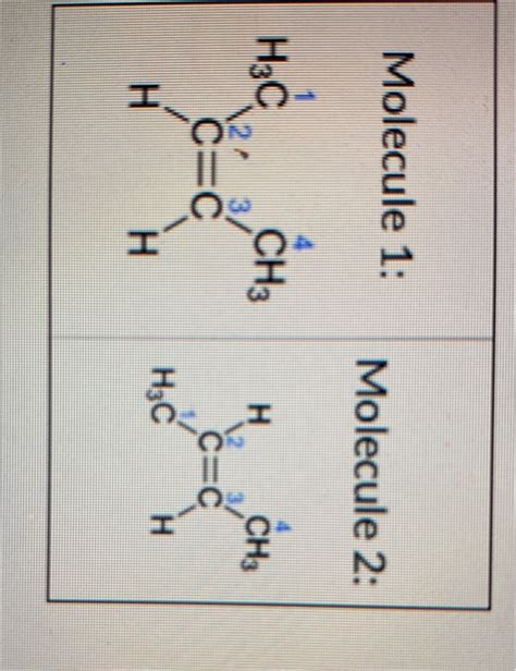 Solved Molecule 1: Molecule 2: CH3 H CH3 H3C CEC S=C C=C H | Chegg.com