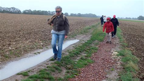 Photo Amblie Photos Images Amblie