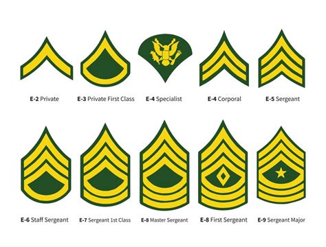 Army Enlisted Rank Insignia Svg Bundle Instant Download Etsy