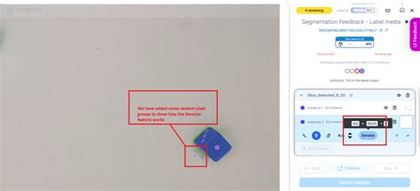 Segmentation Application