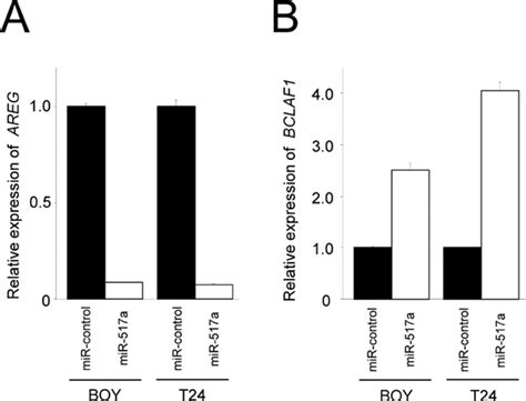 Validation Of Oligo Microarray Data By Real Time Rt Pcr A Areg Was Download Scientific