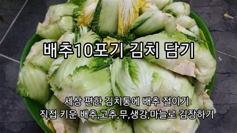 배추 쉽게 절이는법 배추10포기로 김장하기 직접 키운 배추로 김치 담그기 김장양념 김치양념 Youtube